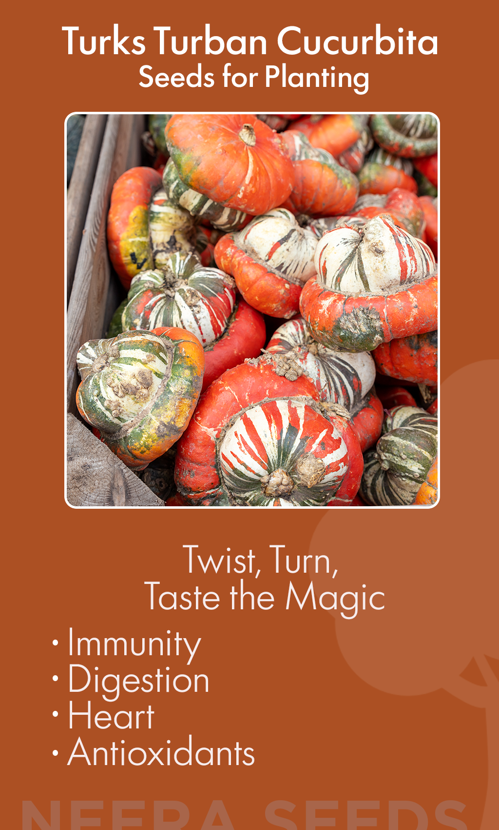 Turk’s Turban Cucurbita Seeds – Heirloom Winter Squash USA – Neeraseeds