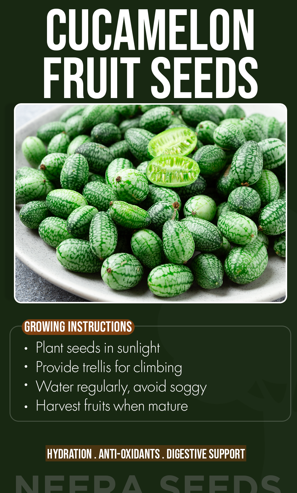 Cucamelon Fruit Seeds for Planting – Tiny Watermelon Look-Alikes ...