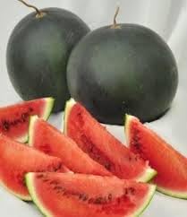 Densuke Watermelon Fruit Seeds for Planting – Heirloom Non-GMO High Ge ...