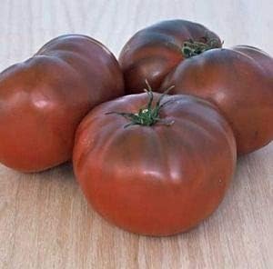 Heirloom Non-GMO Maroon Tomato Seeds for Home Garden Planting – Neeraseeds