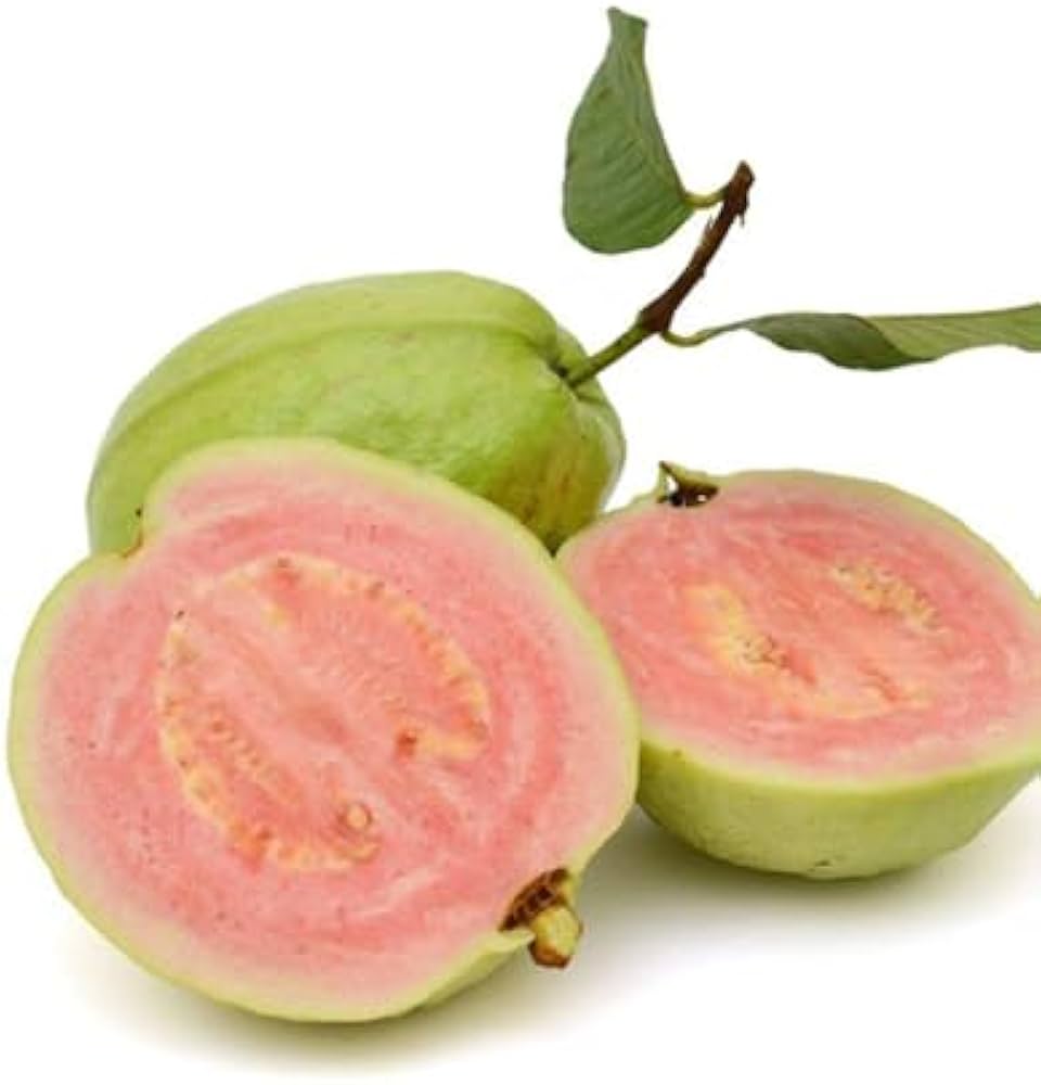 Guava Seeds – Heirloom, Non-GMO, Tropical Flavor – Neeraseeds