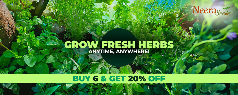 Buy Garden Seeds – Heirloom & Non-GMO Vegetable, Flower, Herb & Fruit ...