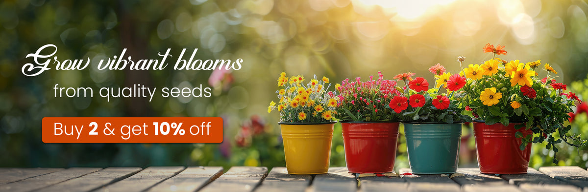 Buy Garden Seeds – Heirloom & Non-GMO Vegetable, Flower, Herb & Fruit ...