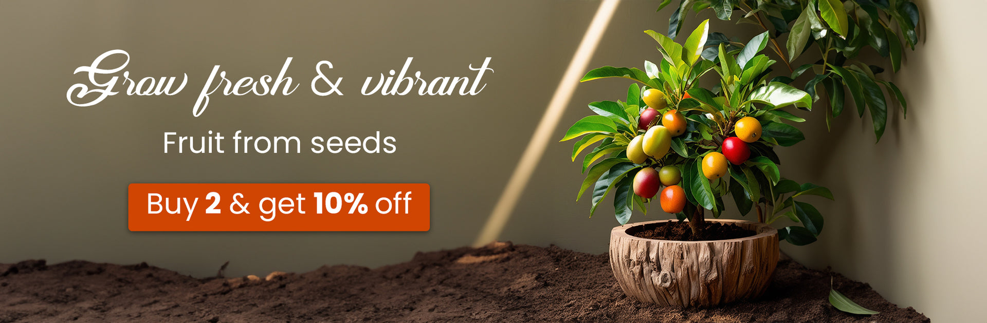 Buy Garden Seeds – Heirloom & Non-GMO Vegetable, Flower, Herb & Fruit ...