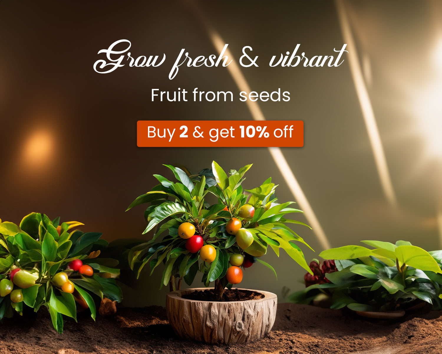 Buy Garden Seeds – Heirloom & Non-GMO Vegetable, Flower, Herb & Fruit ...