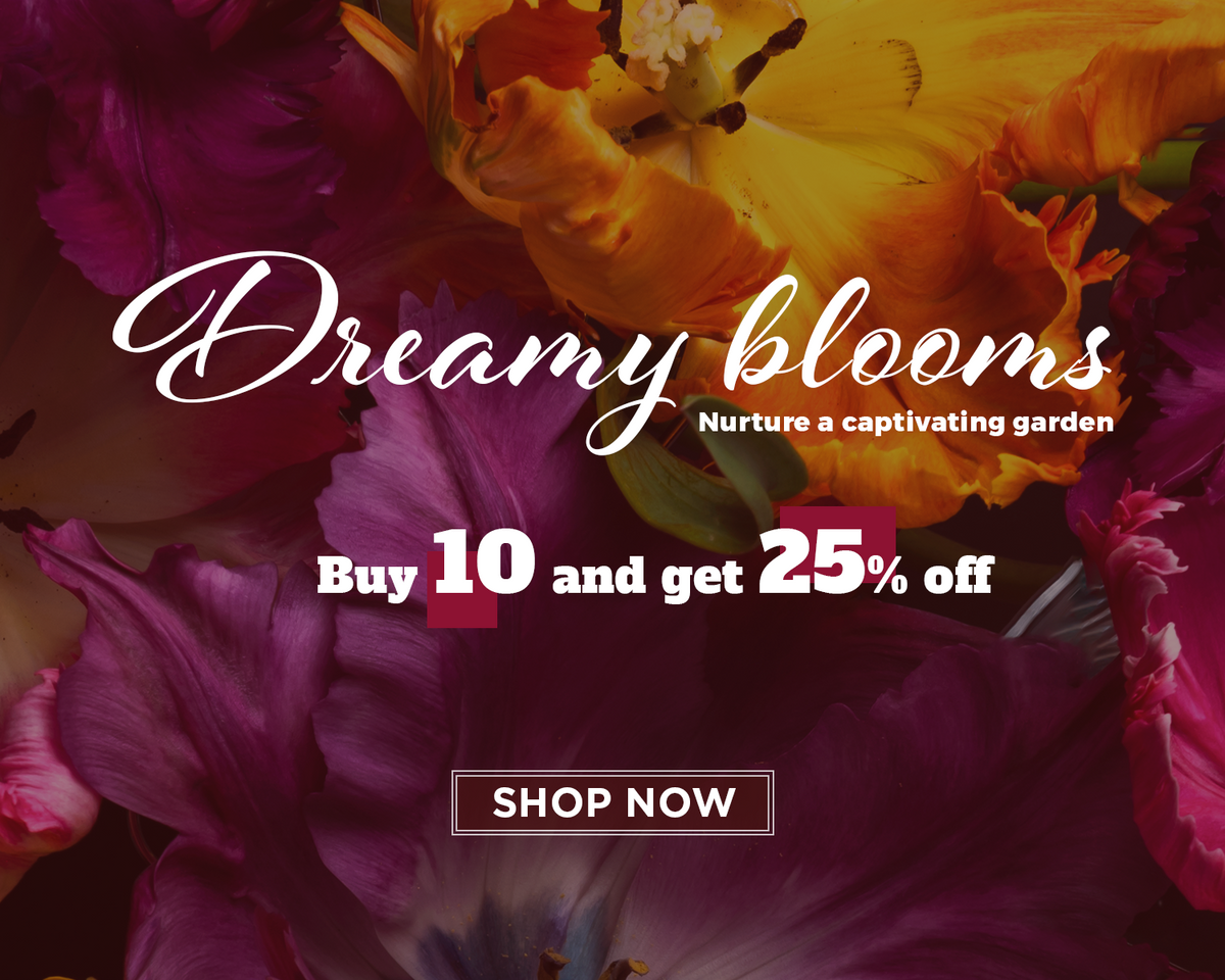 Buy Garden Seeds – Heirloom & Non-GMO Vegetable, Flower, Herb & Fruit ...