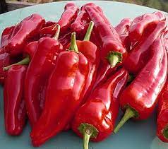 Guindilla Pepper Seeds for Planting heirloom & Non-GMO Seeds – Fresh ...