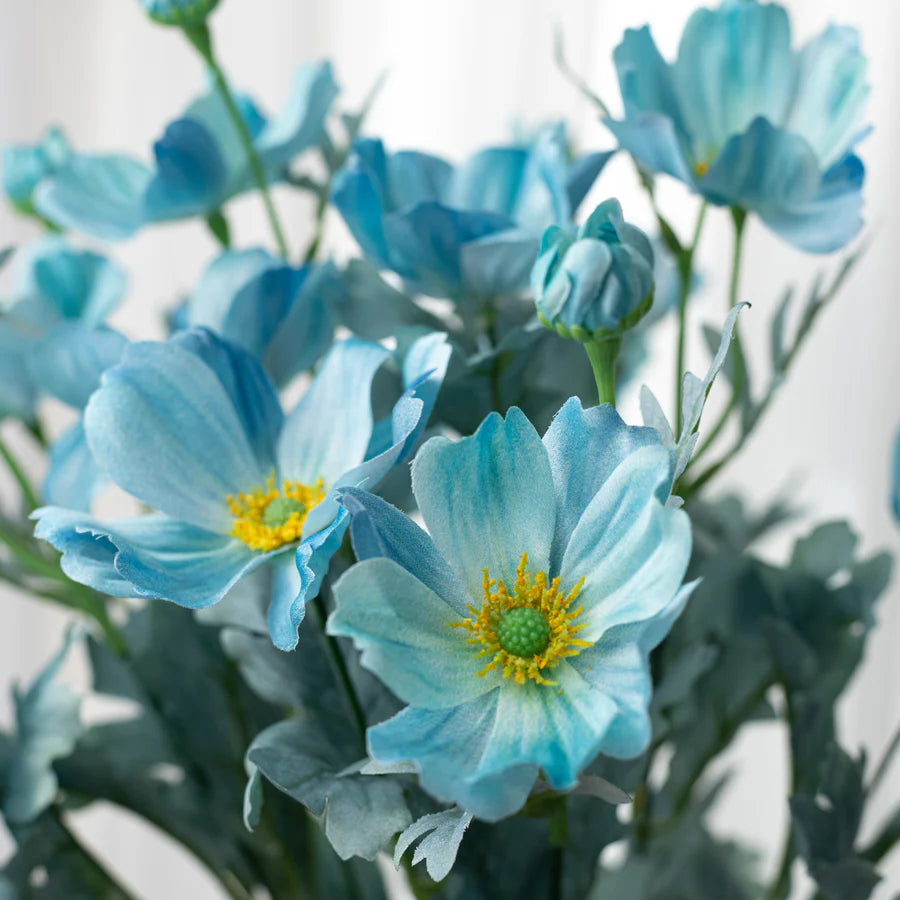 Teal Blue Cosmos Bush Flower Seeds for Planting – Non-GMO, Heirloom Ga ...